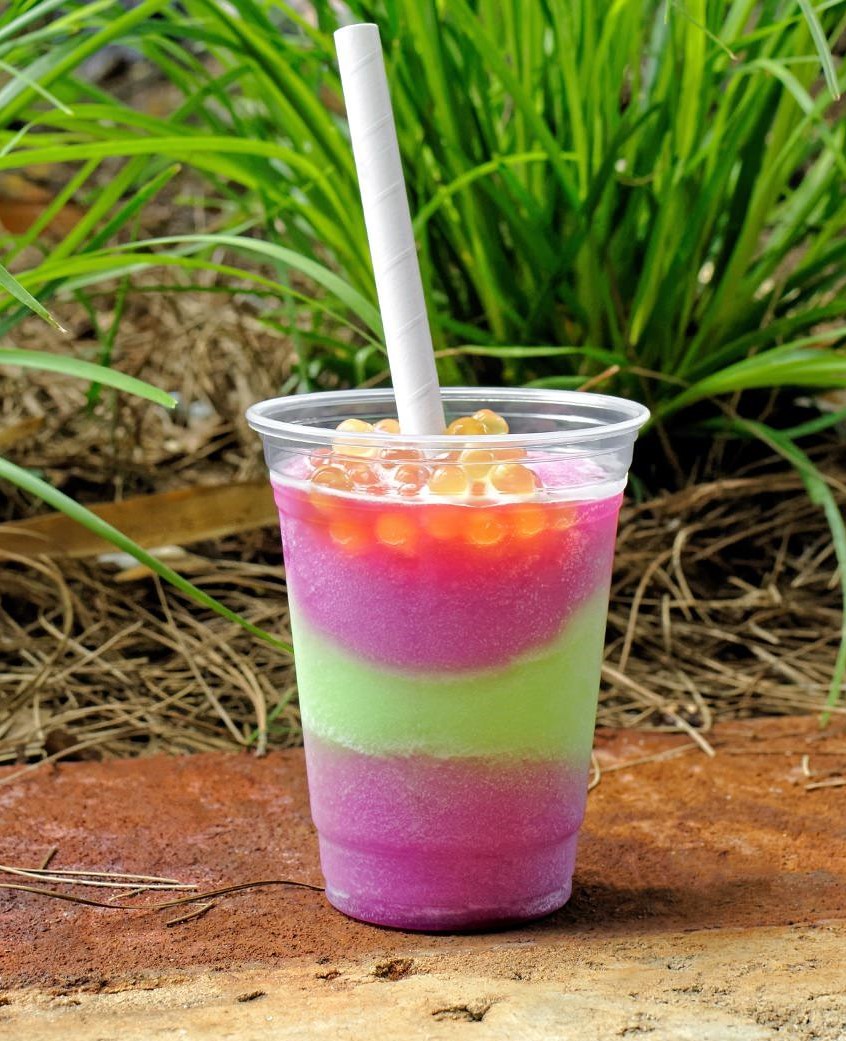 Best Bites in Animal Kingdom - Haley Ever After Co.